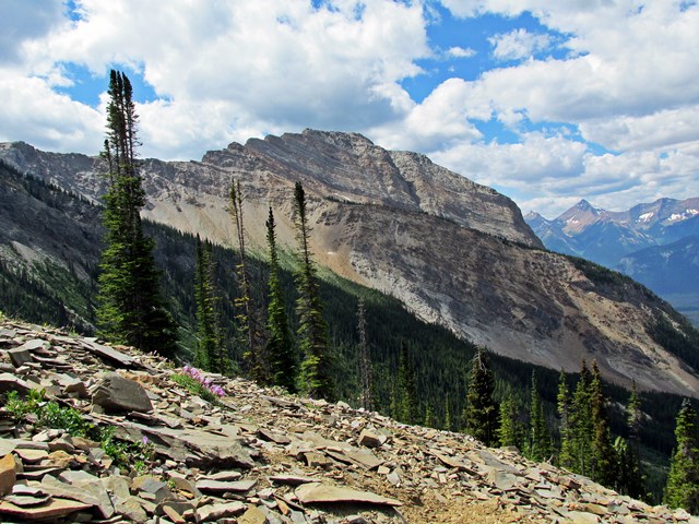 Field Trips – Geobiology 2017