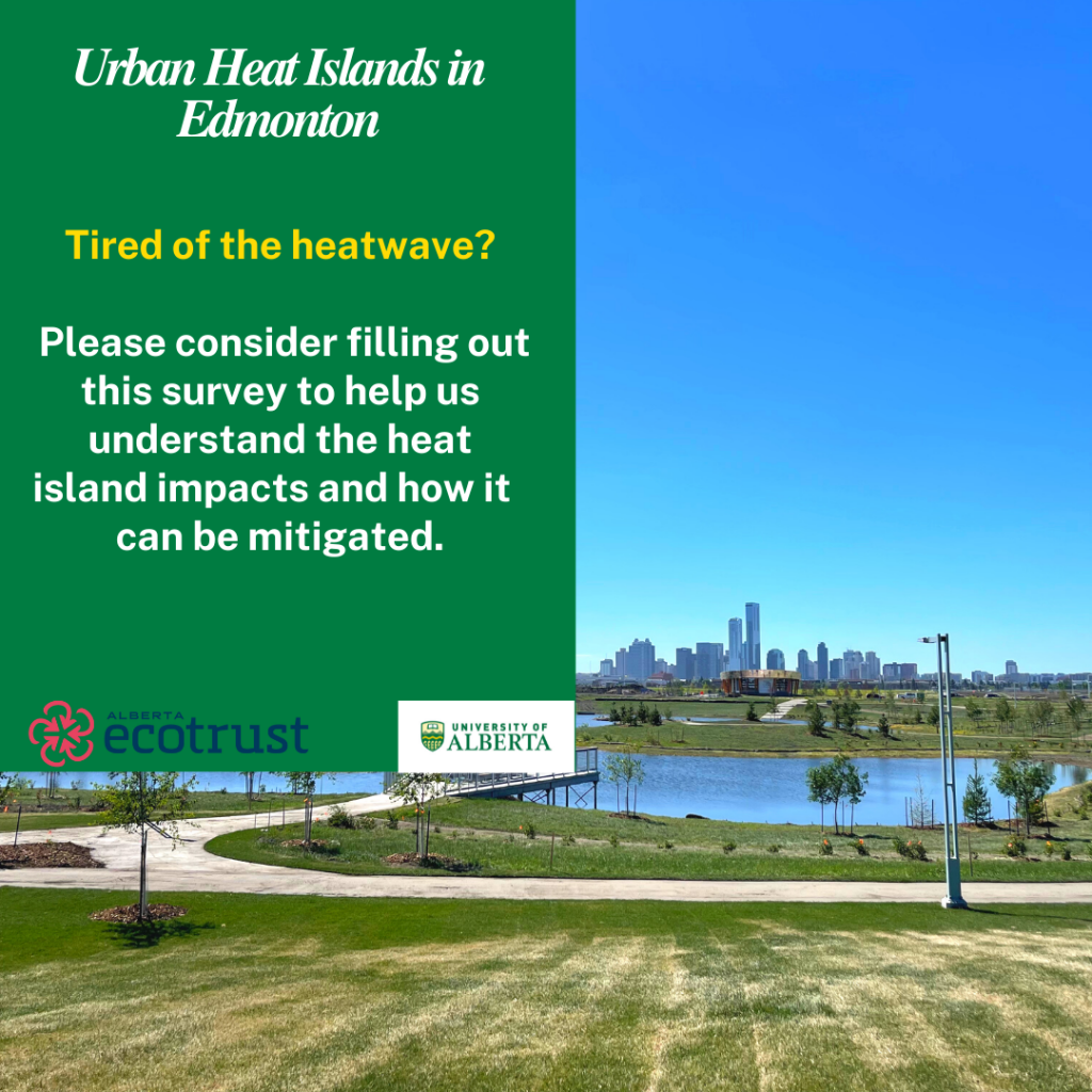 Urban Heat Islands – Urban Environment Observatory