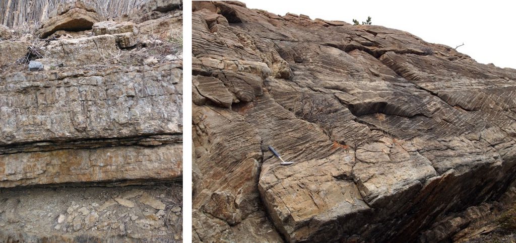 Field Trips – Geobiology 2019