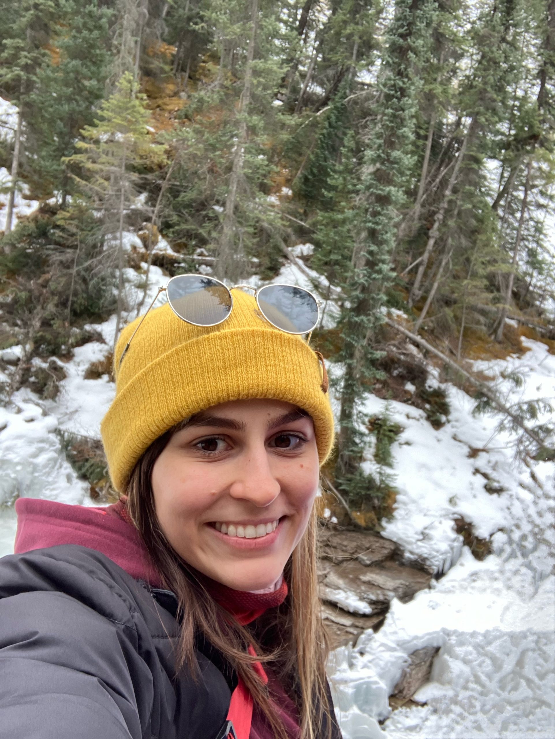 About the Laboratory – EAS X-Ray Diffraction Laboratory – University of Alberta